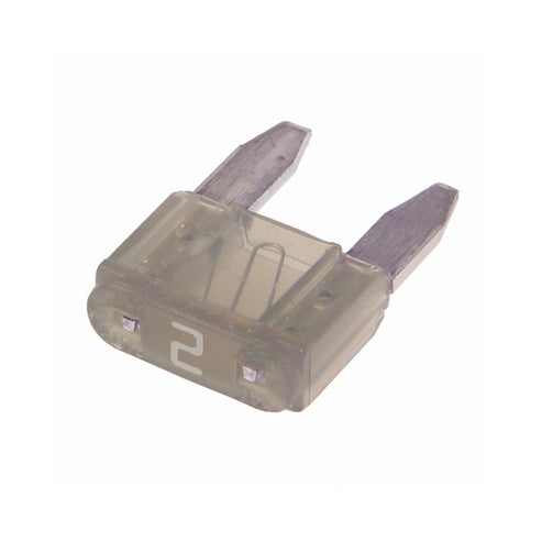 ATM / APM / MIN Mini Automotive Blade Fuse - 2 Amp - 5 or 50 Pack ...