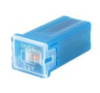 Mini Female Pal Fuses 100 amp – Sherco-Auto.com