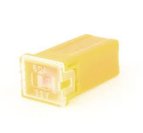 Mini Female Pal Fuses 60 amp – Sherco-Auto.com